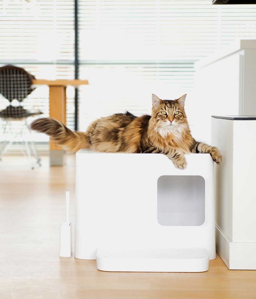 Katzenklo hochwertig | modernes Design, Katzentoilette mit Deckel