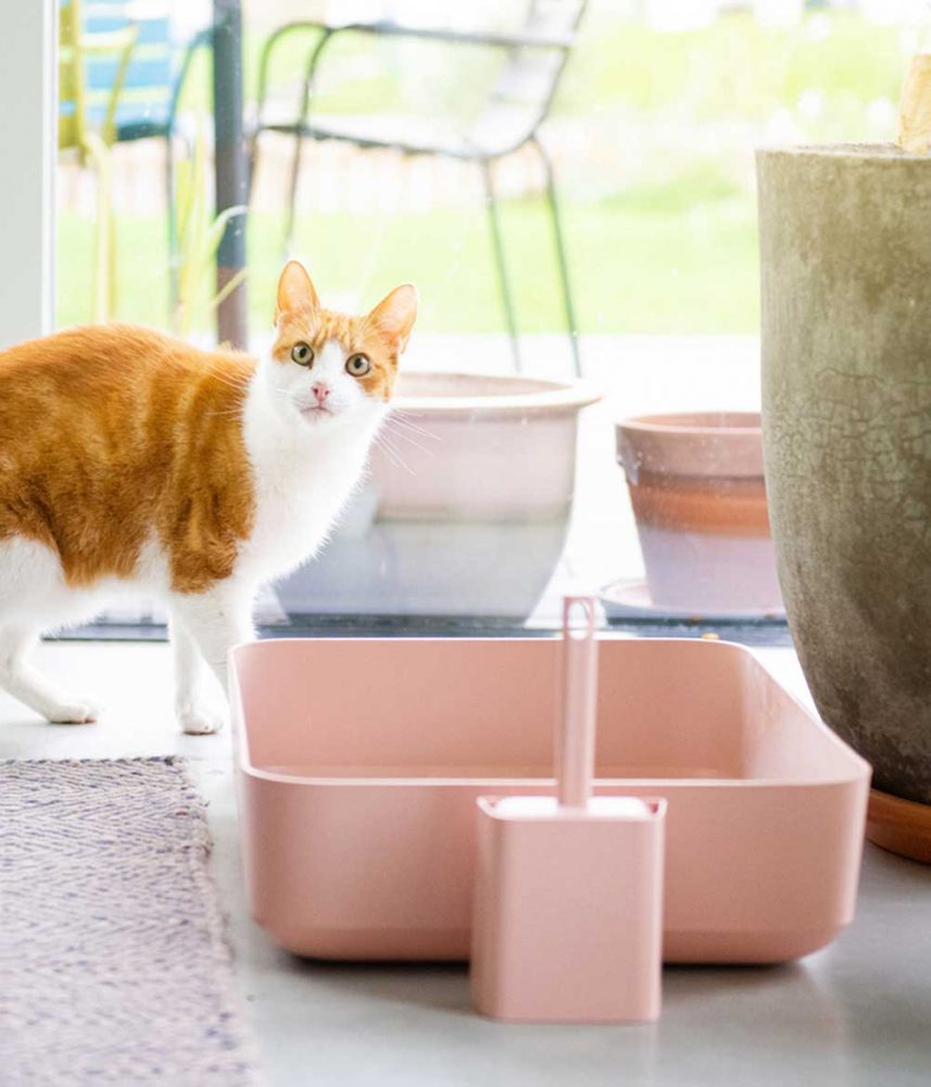Katzenklo hochwertig | modernes Design, Katzentoilette mit Deckel